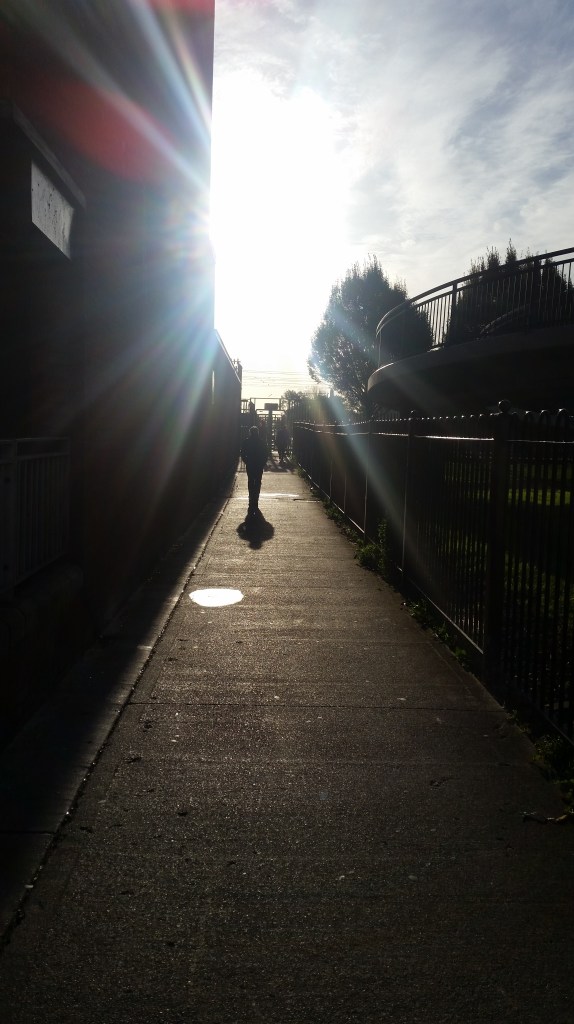 Irish Working-Class Studies – Working-Class Studies